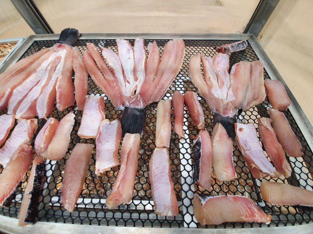 products – Solar Dryer Cambodia